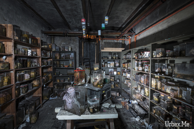 Horror Labs / Urbex.Me - Reportages Exploration Urbaine